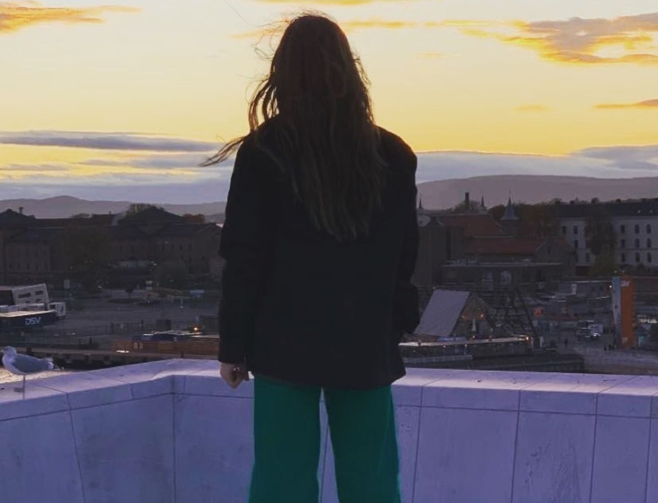 Viken Filmsenter – Peder Angel